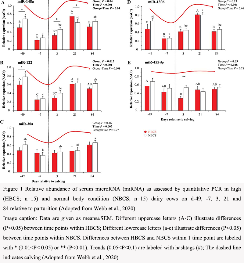 Gene Expression Profiles in Heat-Stressed Dairy Cattle | Chen | Animal ...