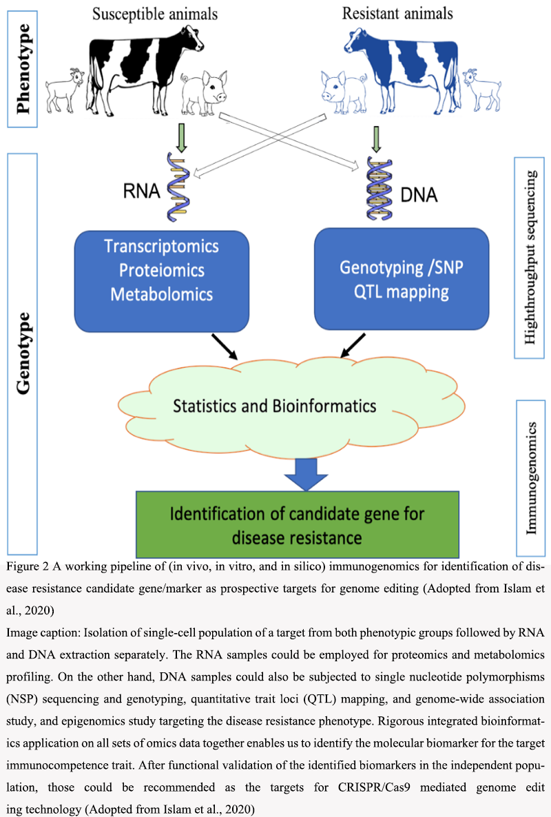 CRISPR-Cas9 Gene Editing for Enhancing Disease Resistance in Cattle ...