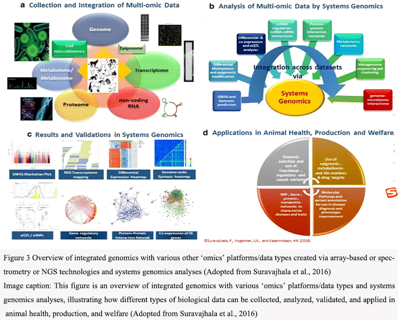Integrative Omics Approaches for Improving Livestock Breeding ...