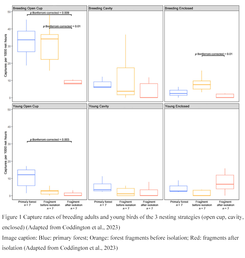 Effects of Habitat Fragmentation on Bird Behavior and Extinction ...