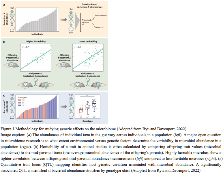 Host-Microbe Interactions in Pets: Implications for Immune System ...
