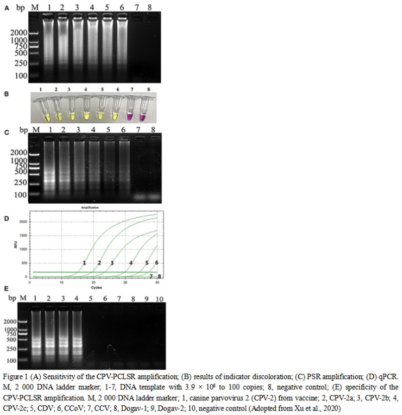 Evaluating the Efficacy of PCR in Detecting Canine Viral Infections ...