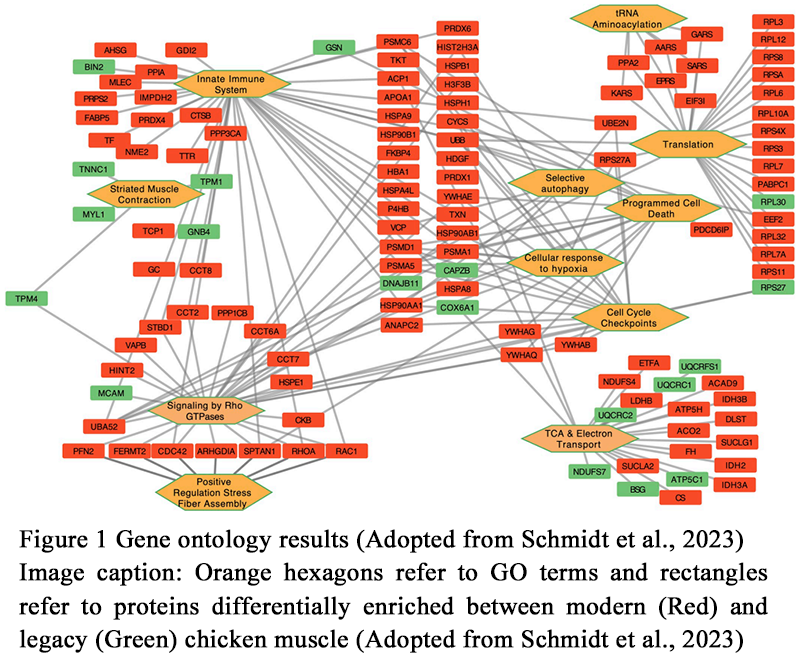 Feature Review on the Use of Genomic Selection in Chicken Breeding ...