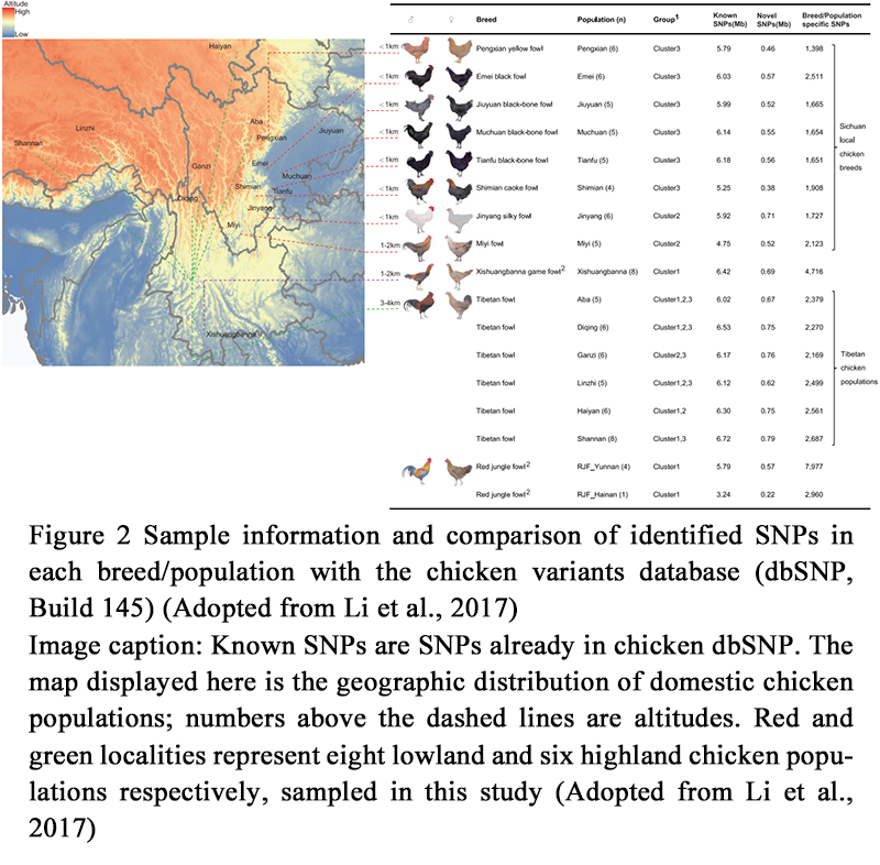 Feature Review on the Use of Genomic Selection in Chicken Breeding ...